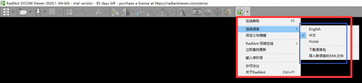 RadiAnt DICOM Viewer 如何切换设置中文语言？ – 正版购买 – RadiAnt DICOM Viewer 中文网站